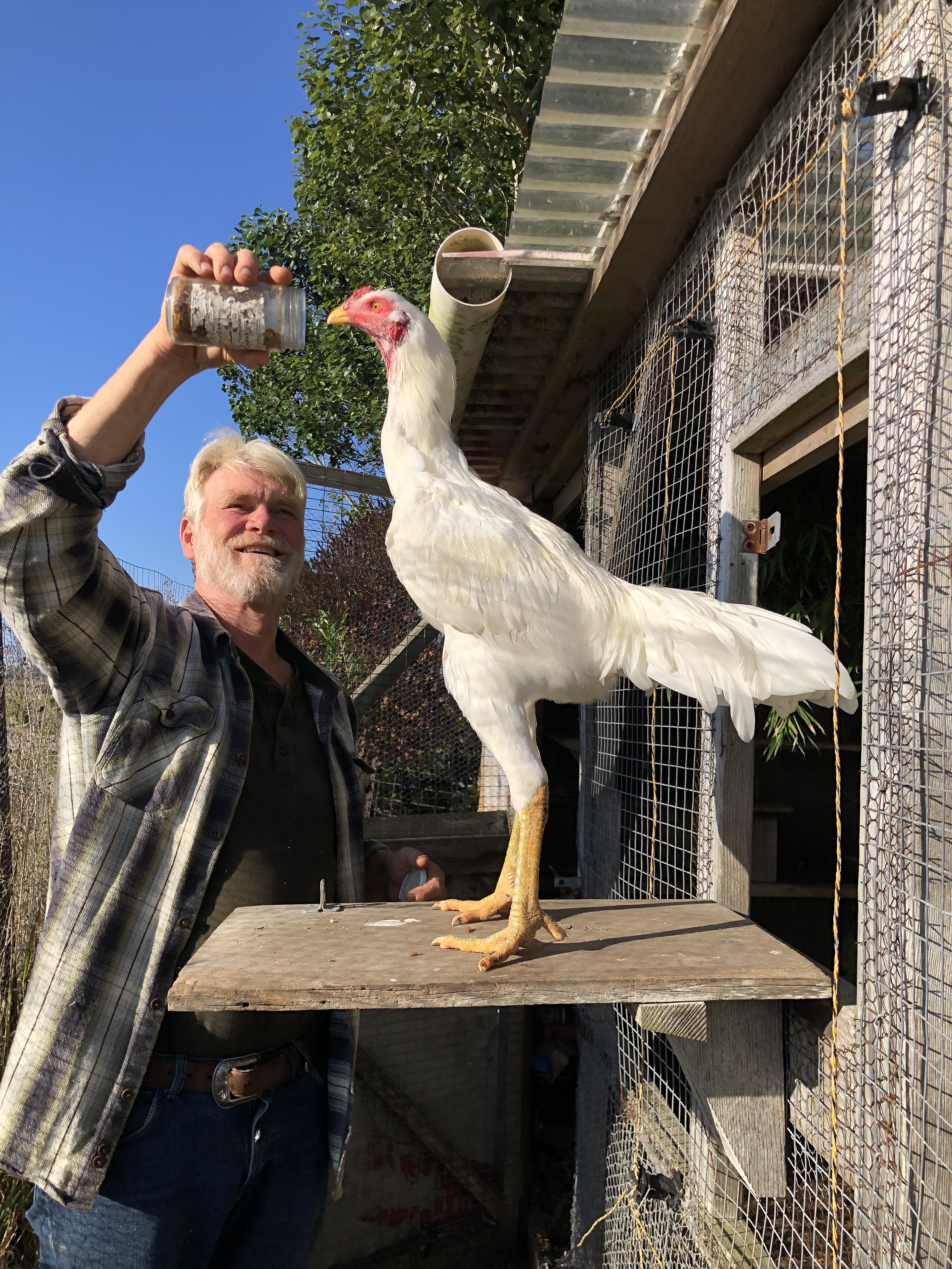 Gallery – Ga Noi Guru